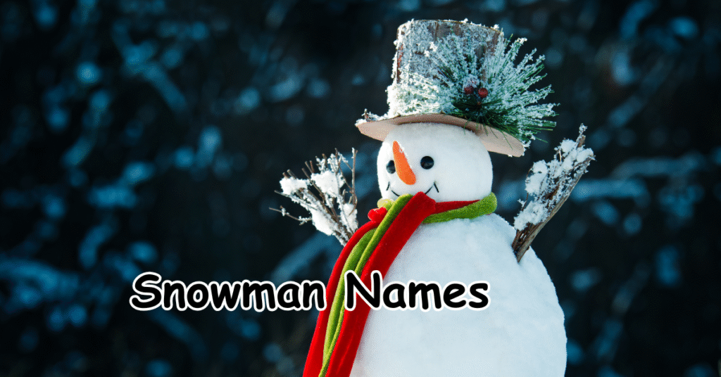300+ Snowman Names – Cute, Funny, Classic & Themed Ideas