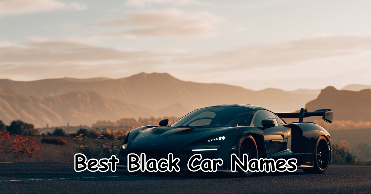Best Black Car Names Cool Cute And Badass Ideas Best Black Car Names Cool Cute And Badass Ideas
